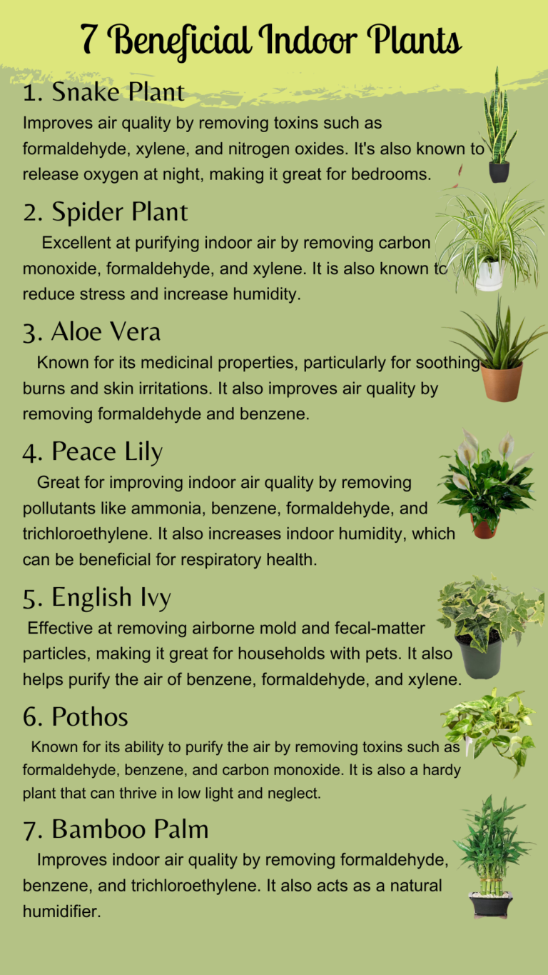 Home Decor Ideas | Elite Products Finds